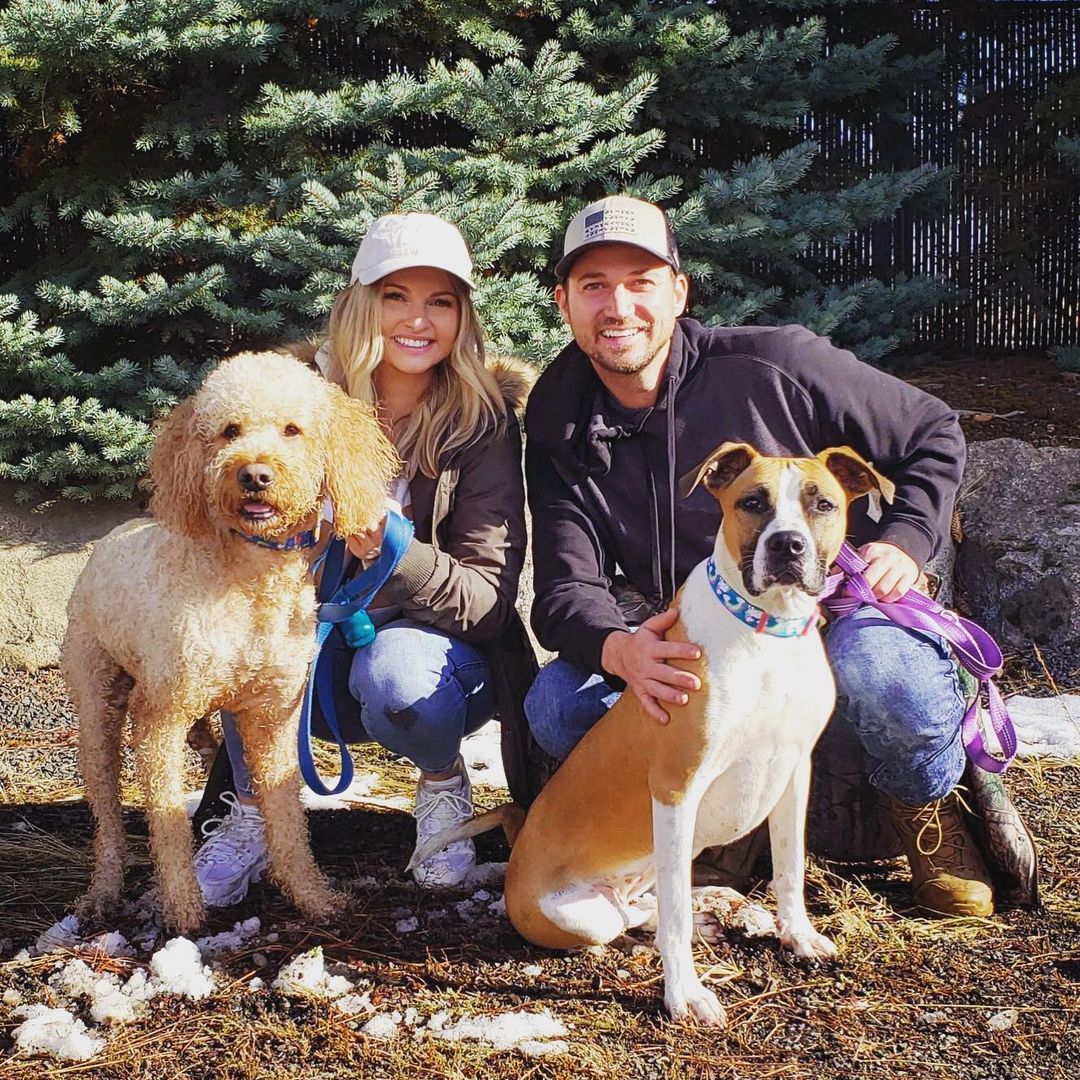 Blippi Dogs – Lord Of The Pets