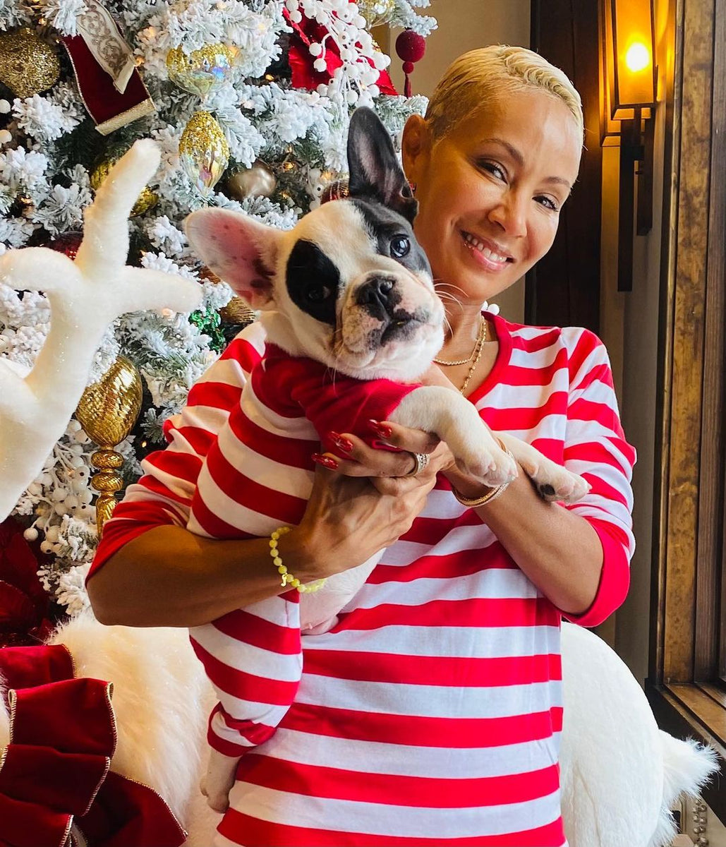 Jada Pinkett Smith Dogs – Lord Of The Pets