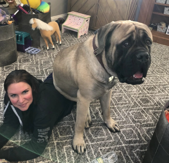 Stephanie Mcmahon's Dog Andre – Lord Of The Pets