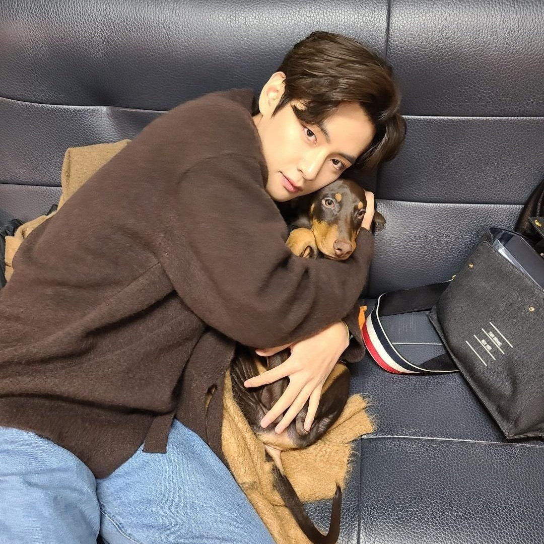 Jungkook Dogs – Lord Of The Pets