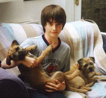 Daniel Radcliffe Dogs – Lord Of The Pets