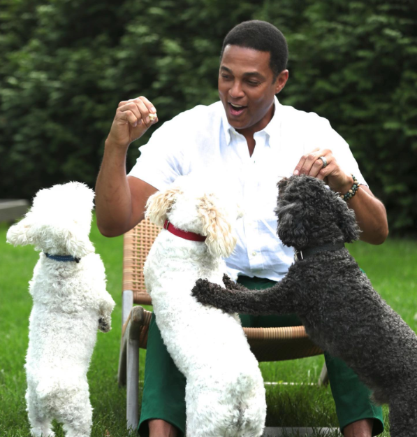 Don Lemon Dogs – Lord Of The Pets