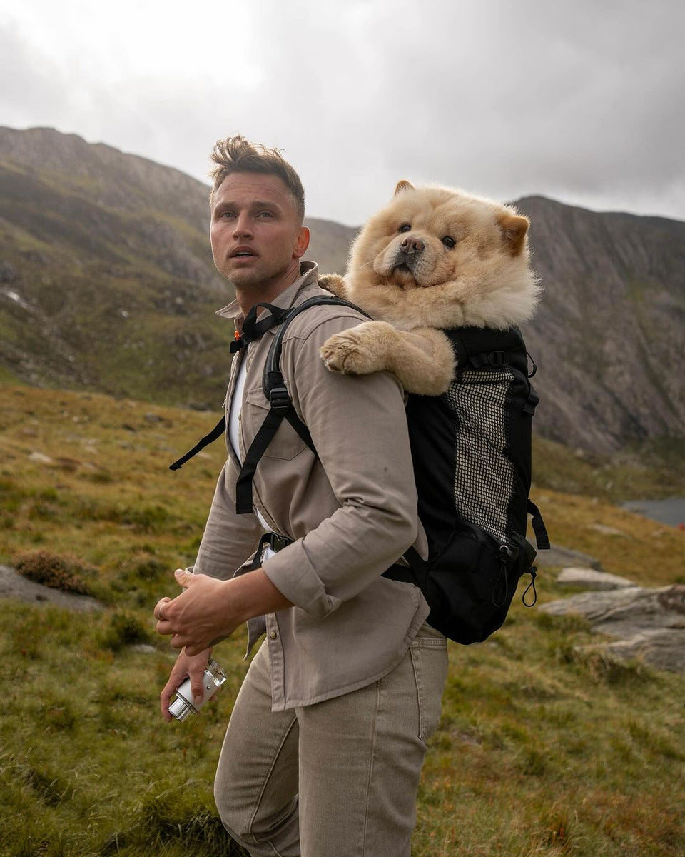 Carl Cunard's Dog Carter Cunard – Lord Of The Pets