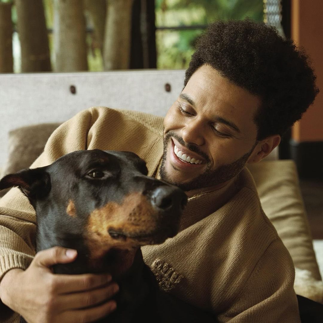 The Weeknd Pets – Lord Of The Pets