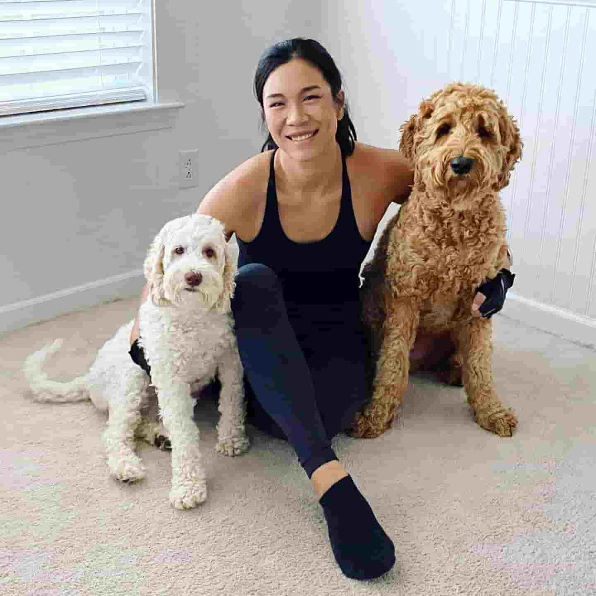 Regina Ting Chen's Dogs – Lord Of The Pets