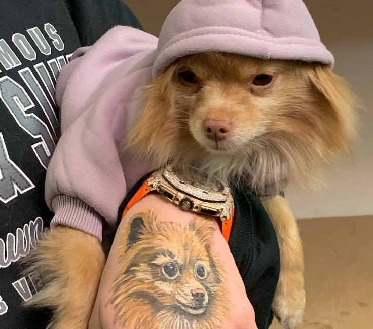 Chumlee's Dog Pinky – Lord Of The Pets