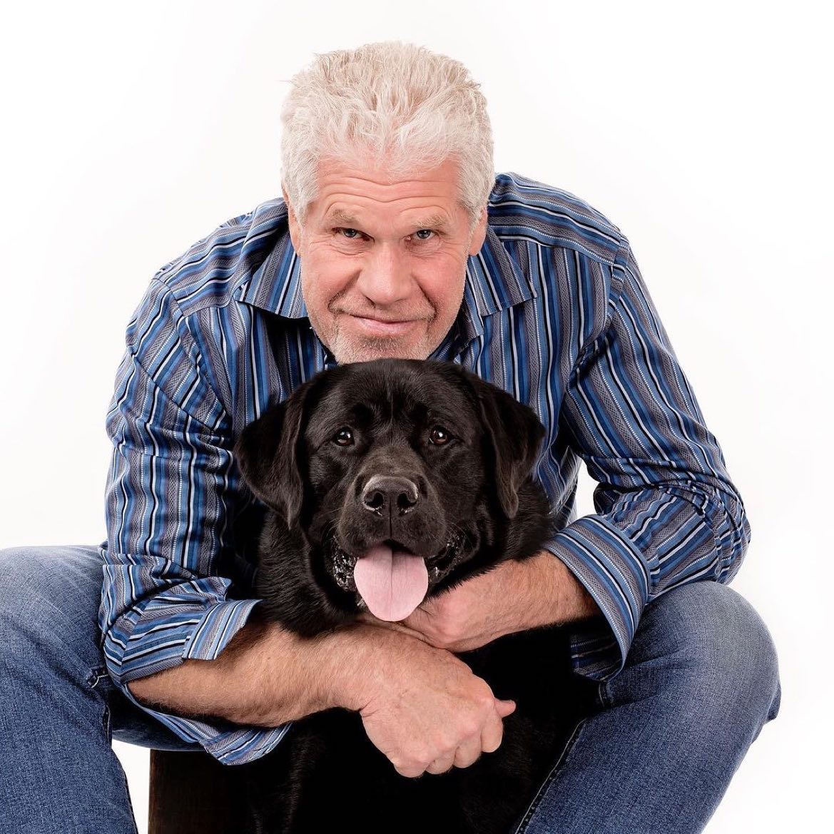 Ron Perlman Dogs – Lord Of The Pets