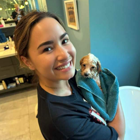 Demi Lovato Dogs – Lord Of The Pets
