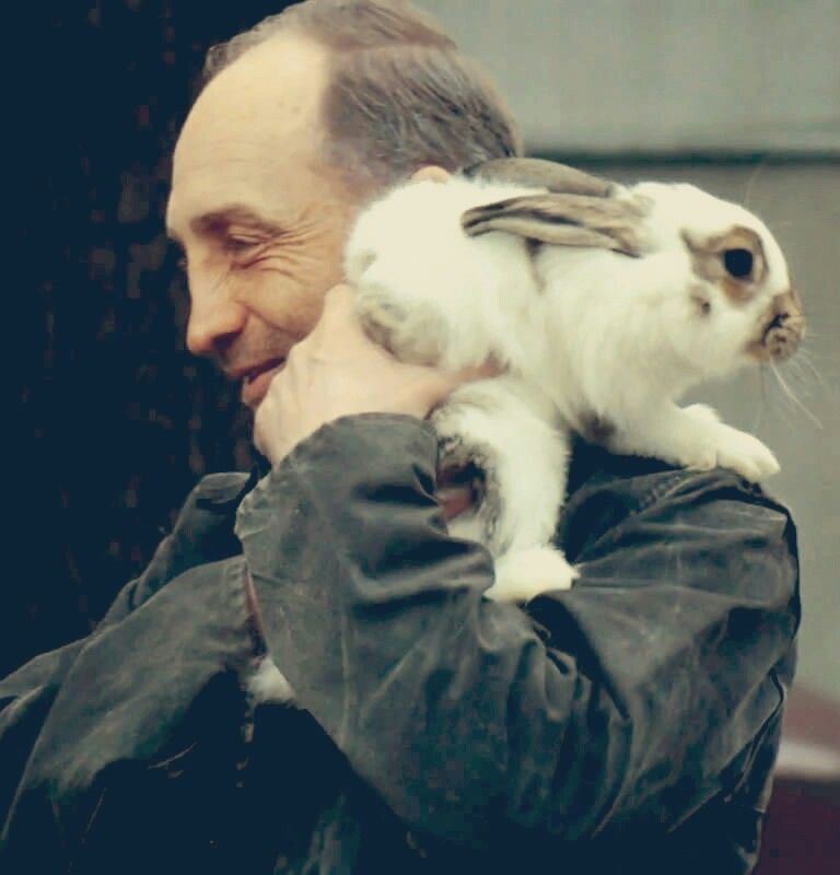 Michael Mcelhatton's Rabbit Gunther – Lord Of The Pets