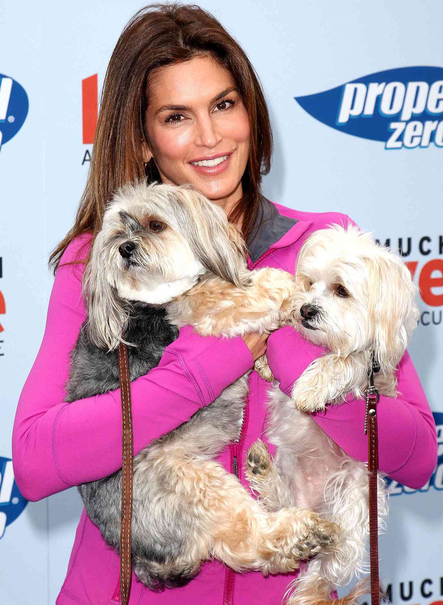 Cindy Crawford Dogs – Lord Of The Pets