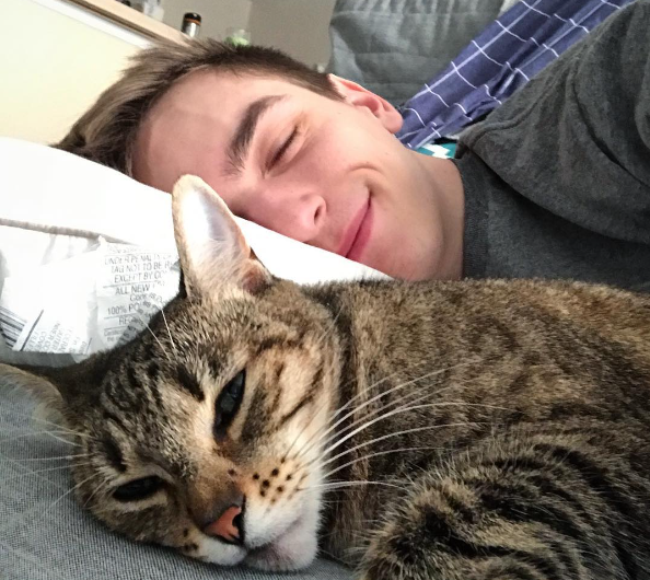 Drew Gooden's Cat Bim Bim – Lord Of The Pets