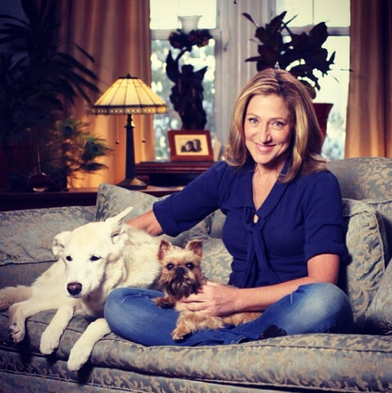 Edie Falco Dogs – Lord Of The Pets