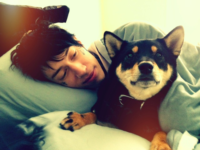 Trace Cyrus Dogs – Lord Of The Pets