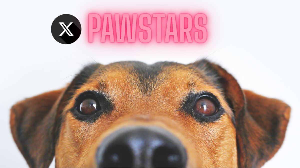 Dog Profiles on Twitter-Oh, You’ve Got To Tweet Them Back! – Lord Of ...