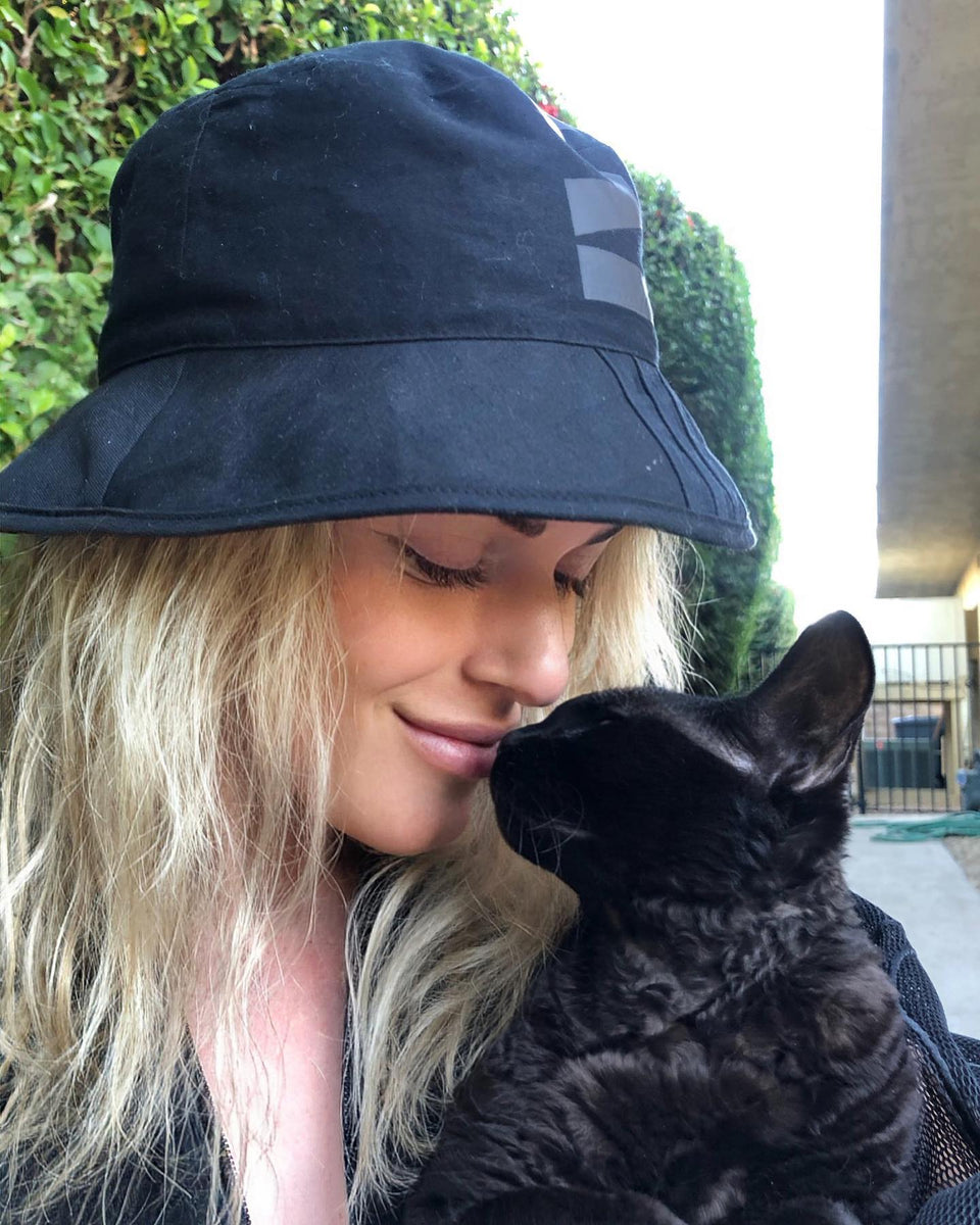 Dayna Kathan’s Cat Leo – Lord Of The Pets