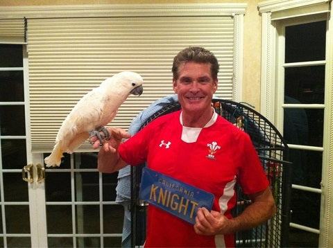 David Hasselhoff Pets – Lord Of The Pets