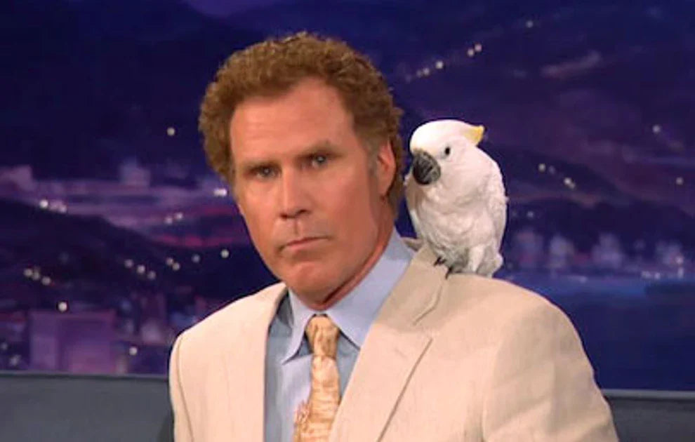 Will Ferrell's Bird Professor Feathers – Lord Of The Pets